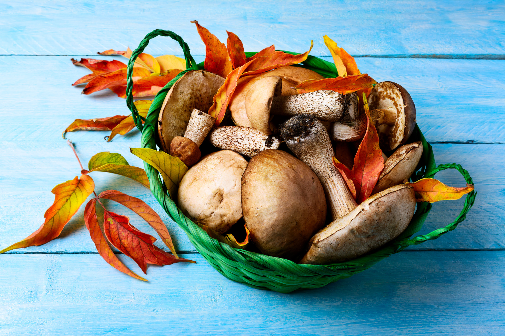 C'est de saison : les champignons ! - La Parisienne